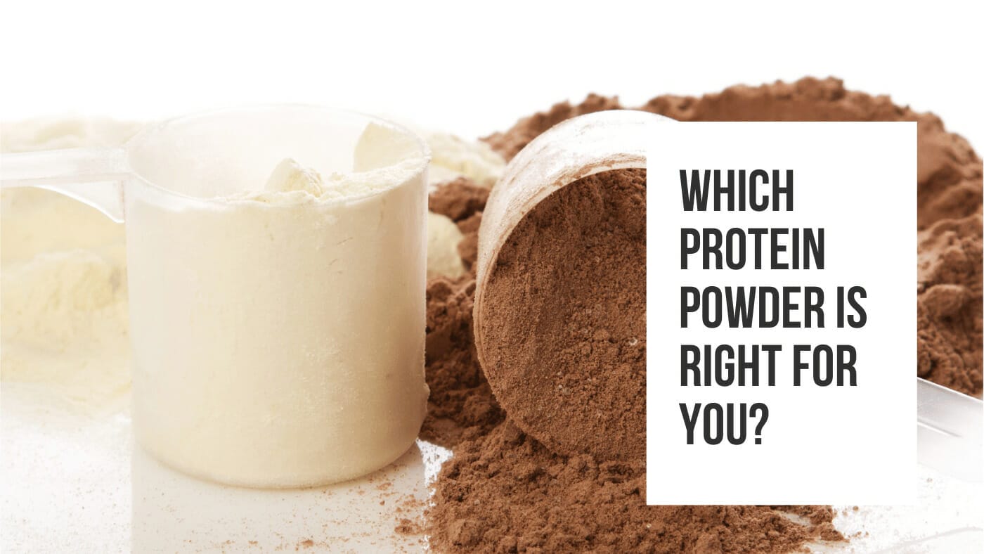Which Protein Powder is right for you? - CrossFit Renaissance